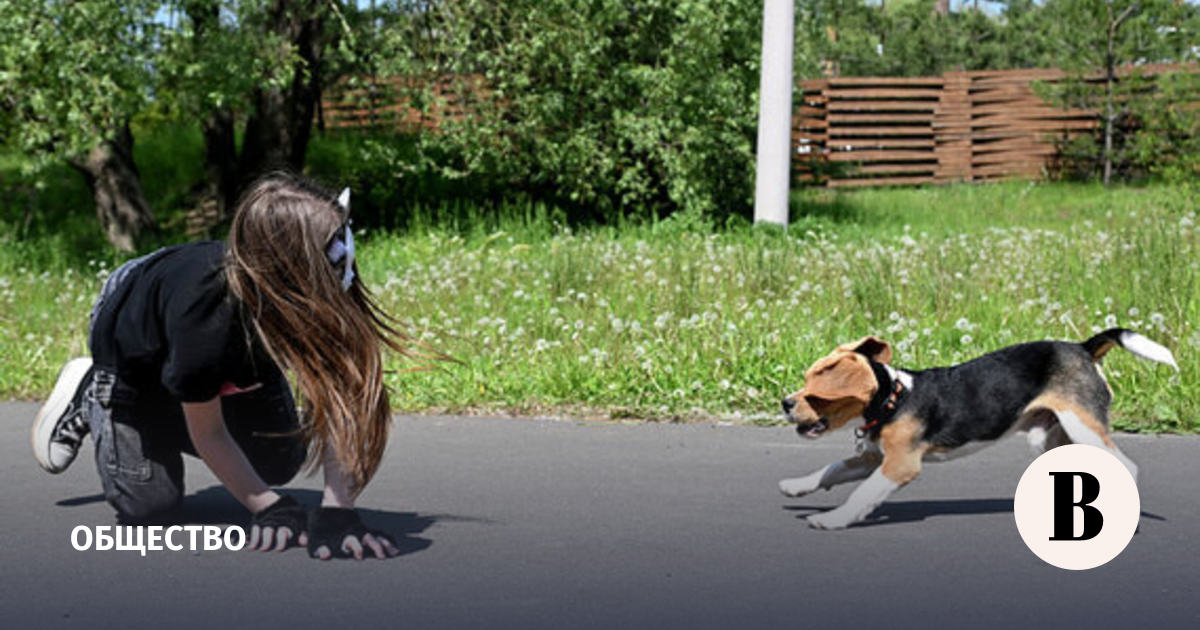 Квадроберы вызывают обеспокоенность у большинства россиян - Ведомости