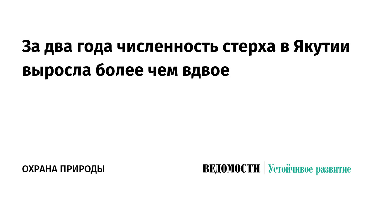За два года численность стерха в Якутии выросла более чем вдвое - «Ведомости.Устойчивое развитие»