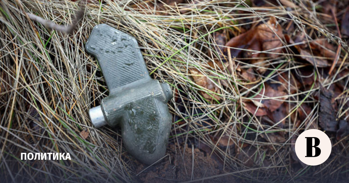 Прибалтика выйдет из конвенции по запрету противопехотных мин - Ведомости