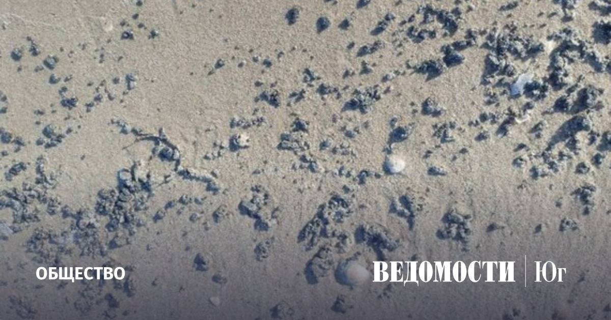 Около 800 км береговой линии очистили от мазута после ЧС с танкерами ...