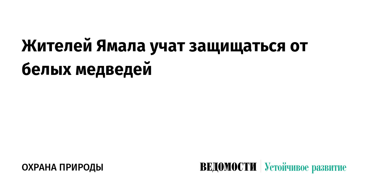 Жителей Ямала учат защищаться от белых медведей - «Ведомости.Устойчивое ...